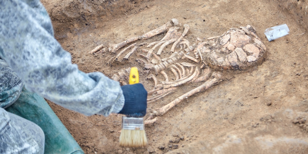 Ancient Roman Grave Reveals Corpse of Flaccus in the Netherlands