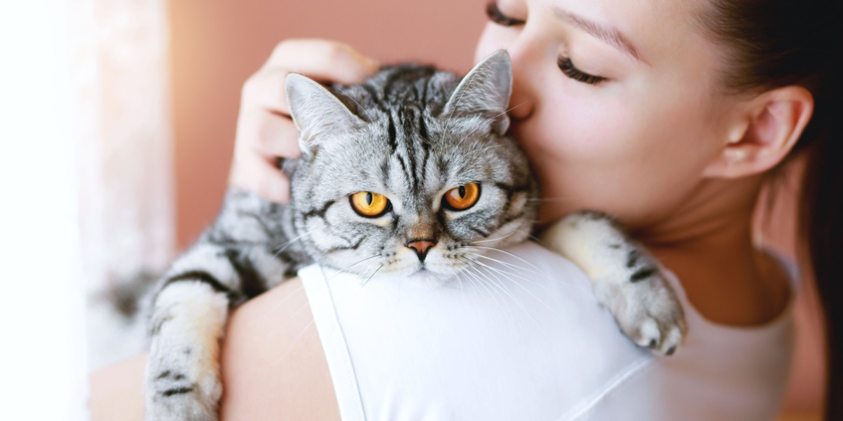 7 Reasons Why Owning a Cat is Better Than You Think
