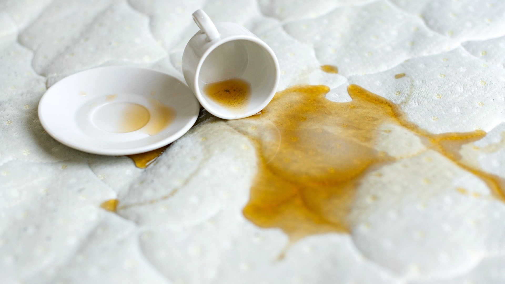 Goodbye Coffee Stains: How to Remove Them Quickly and Effectively