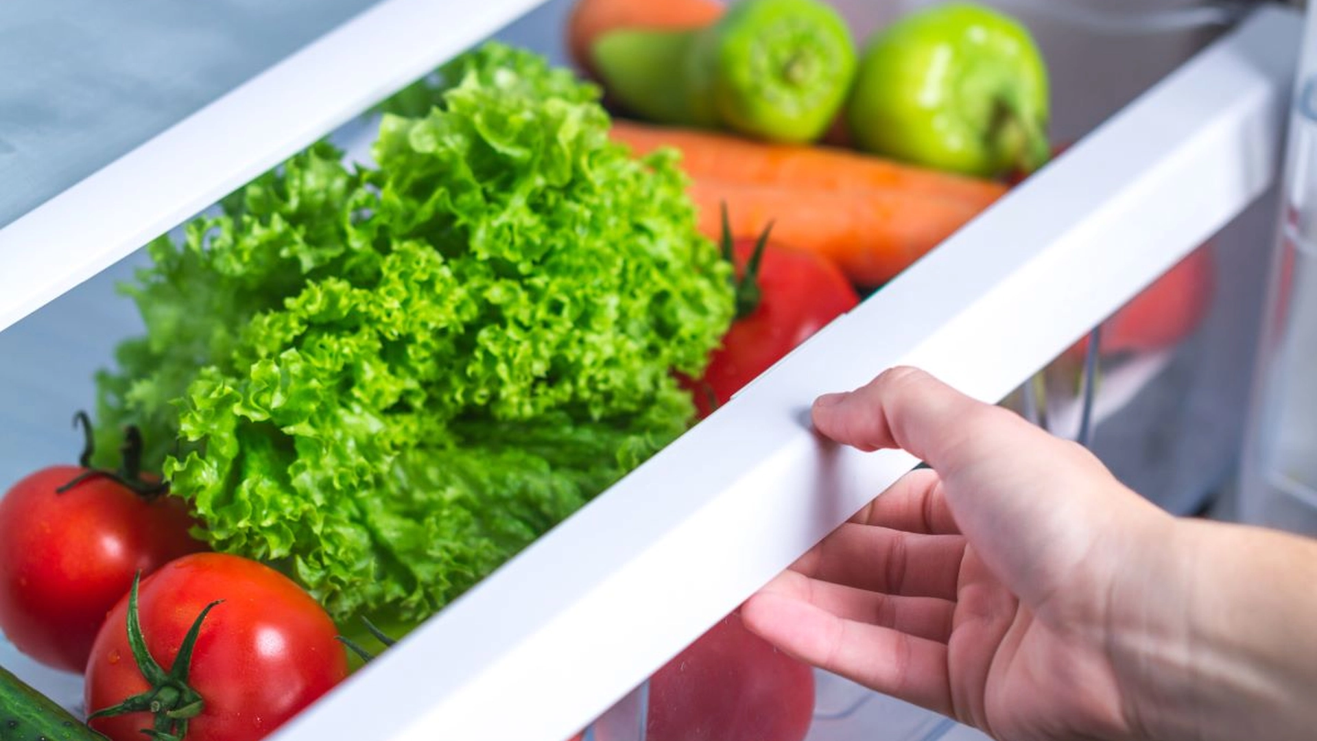 Avoid Food Waste: The Right Way to Store Food in Your Fridge