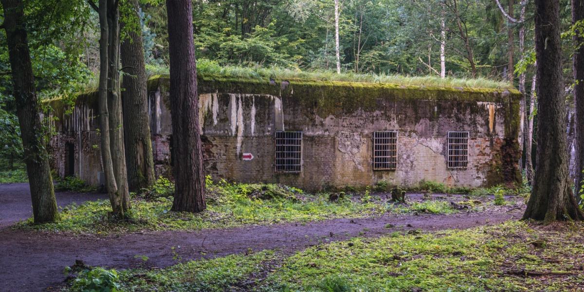 Mysterious Skeletons Uncovered at Hitler's Wolf's Lair