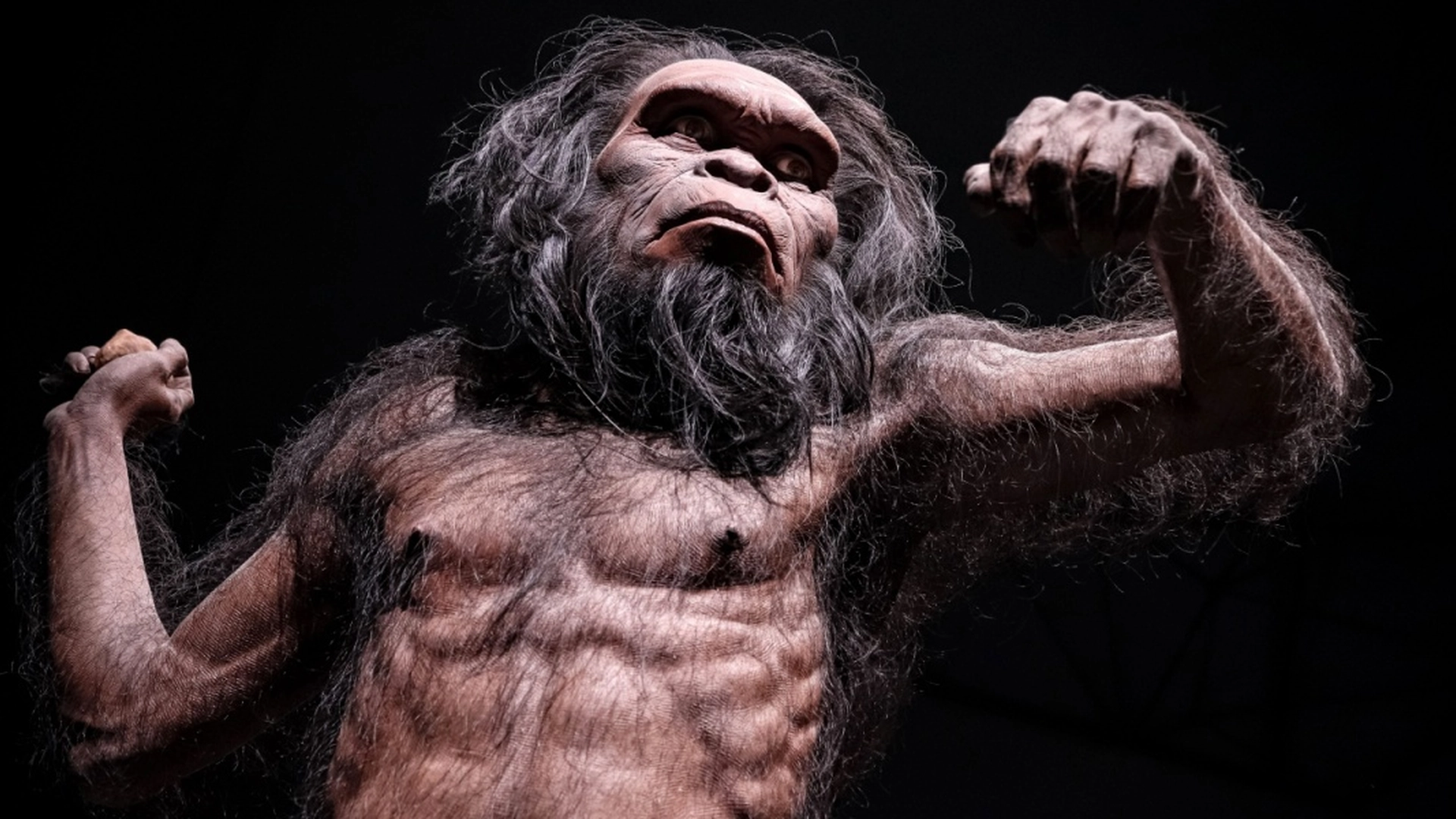 A New Human Species Discovered in China, Rewrites Evolution