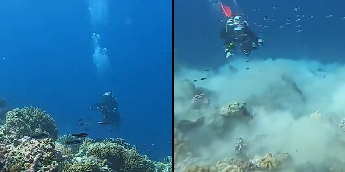 Astonishing video reveals what happens when earthquake strikes underwater