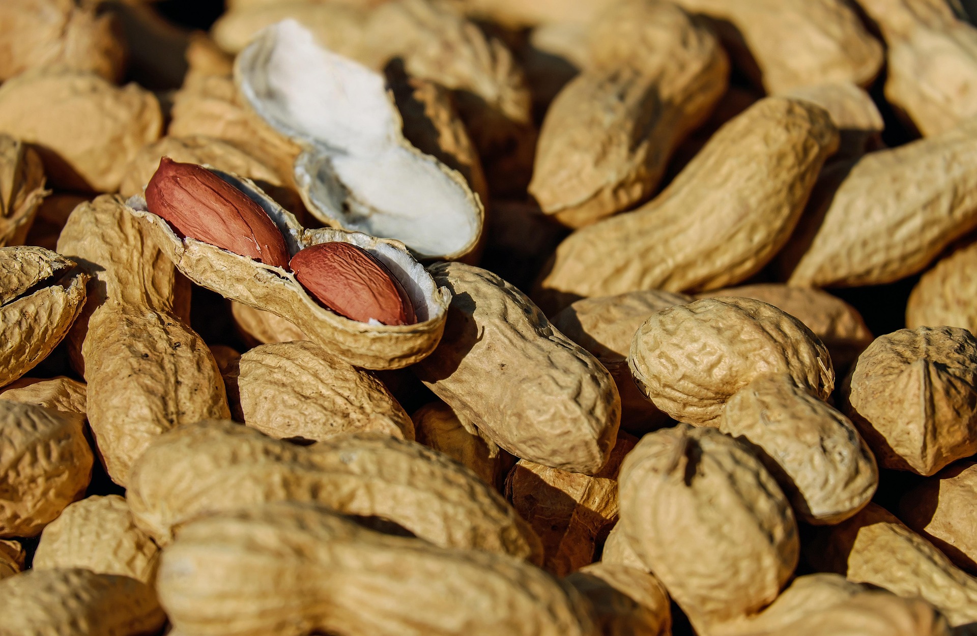 Peanuts Grow Underground – and Many People Don’t Know It