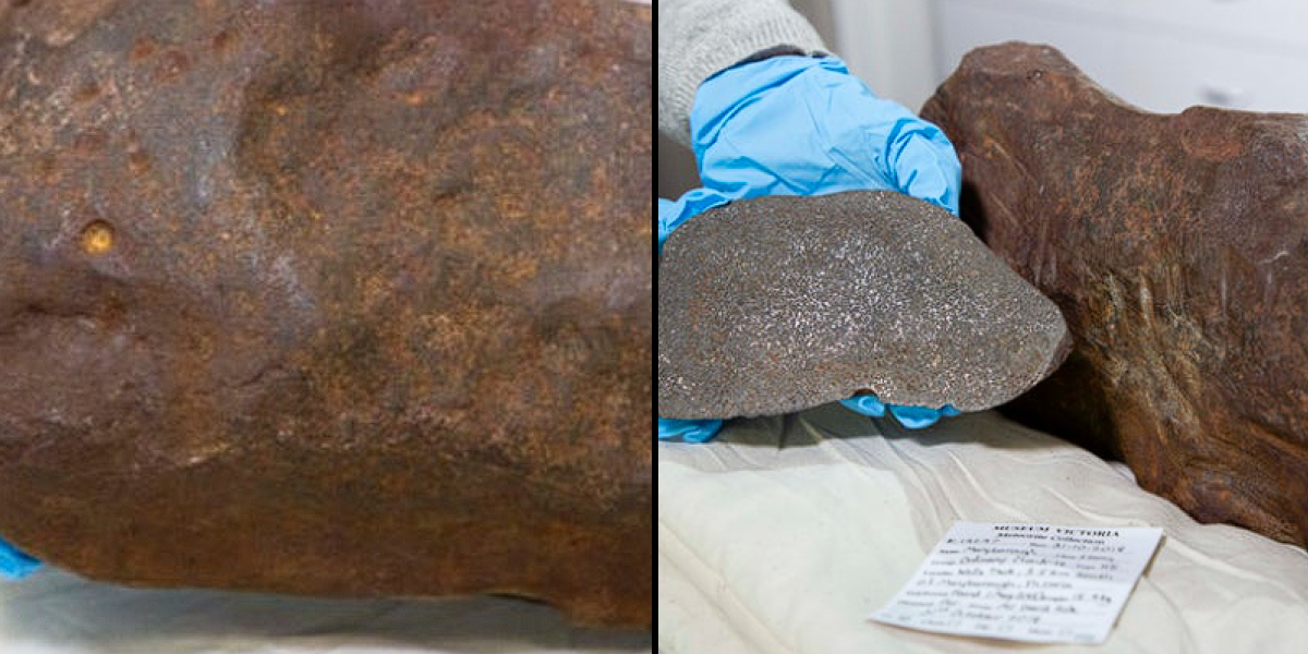Man Kept This Rock for Years Hoping It Was Gold. Only Museum Knew What It Was