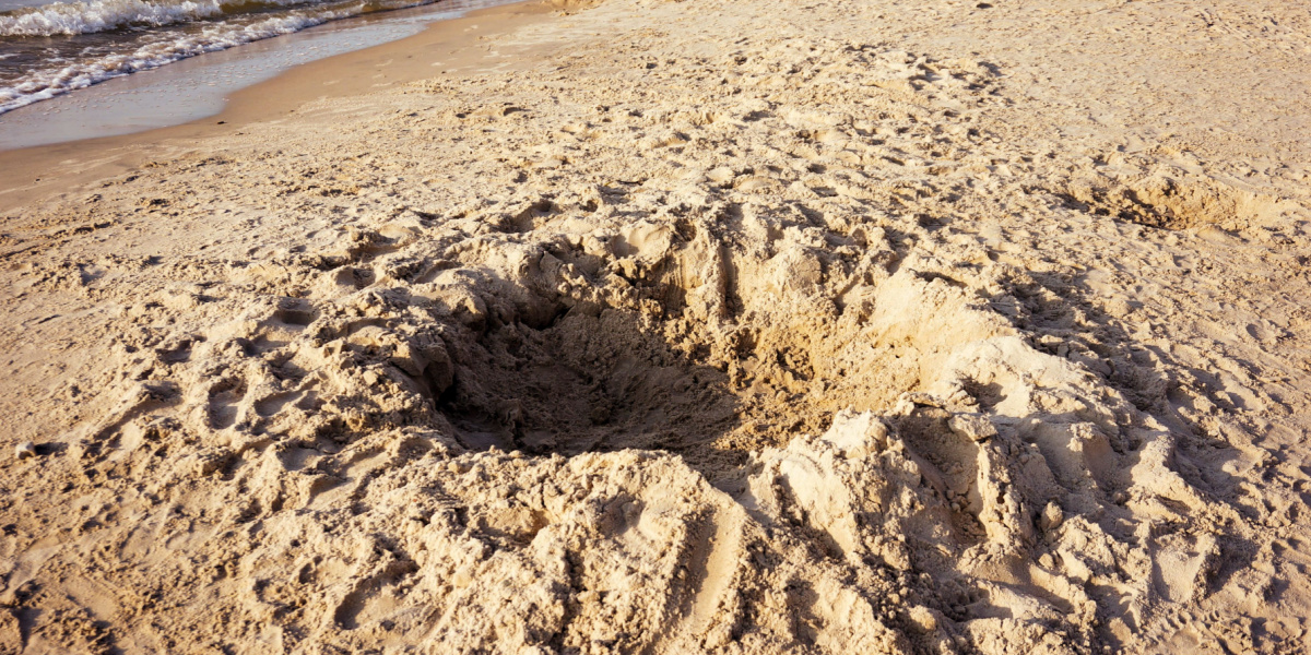 Many Fear Sharks, But Recent Beach Tragedy Points to a Different Danger ...