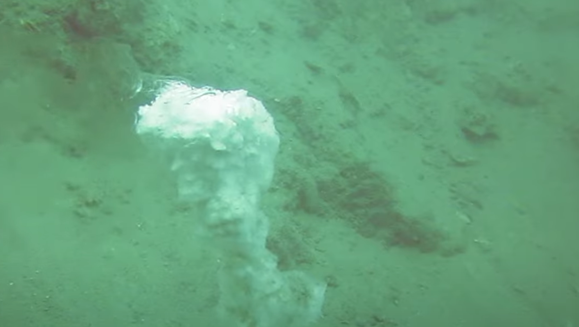 Scientists Discover Unusual Formations in the Depths of the Dead Sea