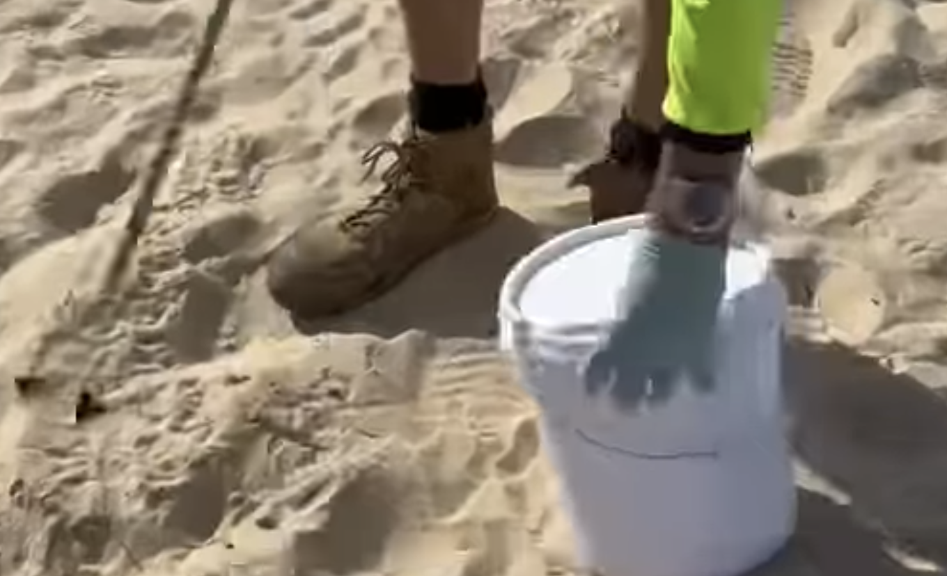 Mysterious Balls Force Beach Closures in Sydney