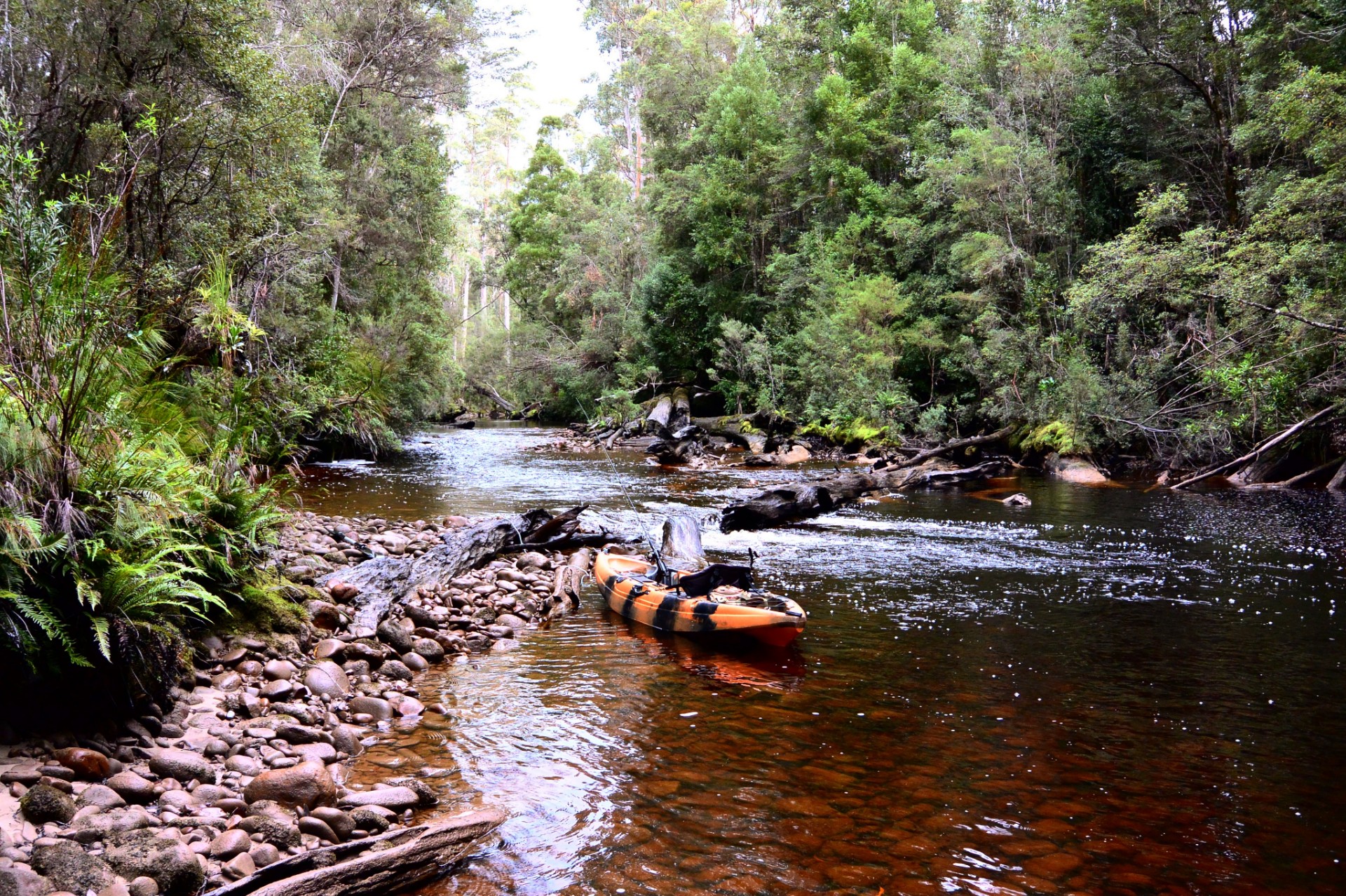 Rescuers Save Trapped Kayaker in Tasmania by Amputating His Leg ...