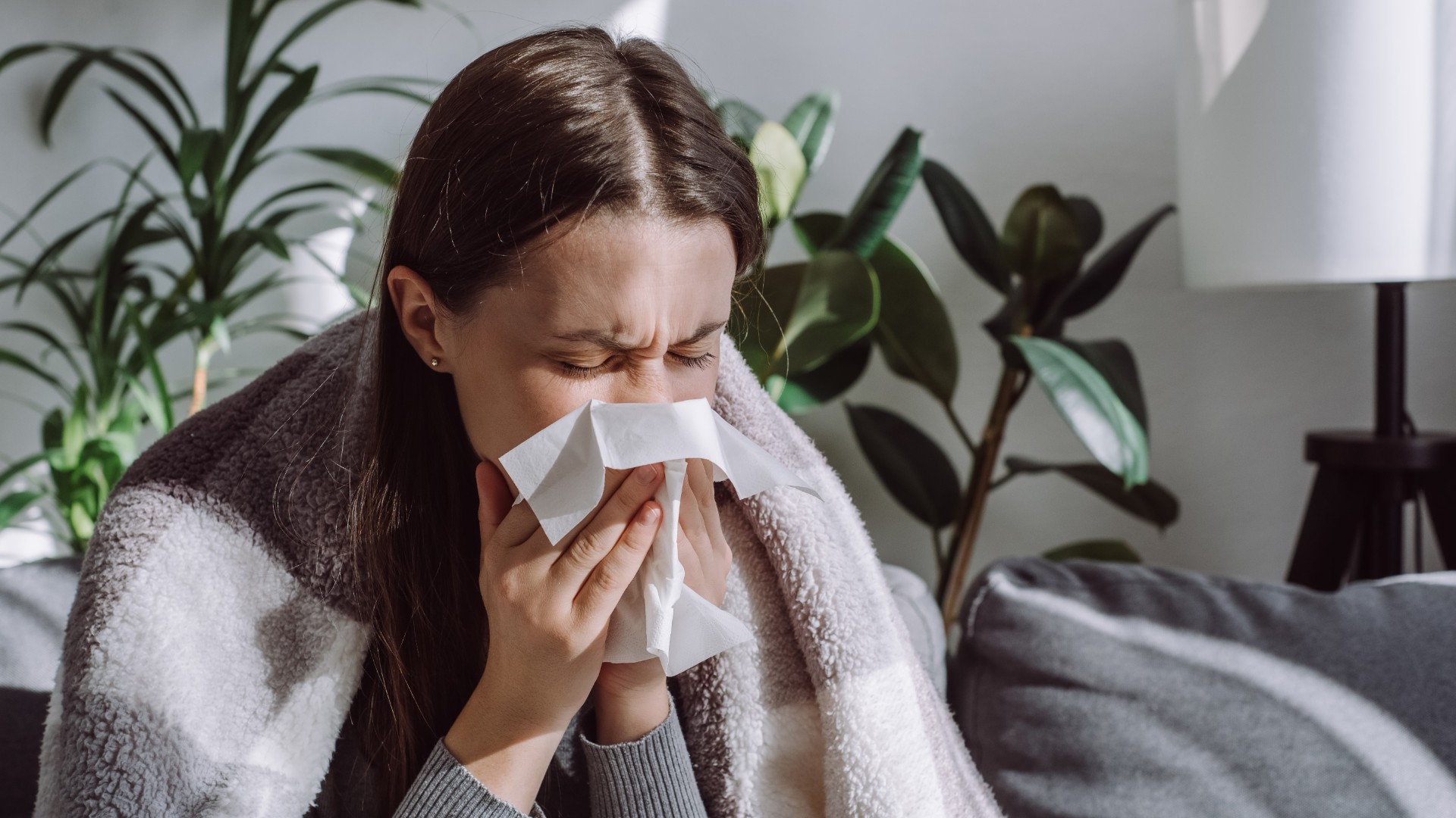 This Is The Superfood for Fighting Colds and Illnesses