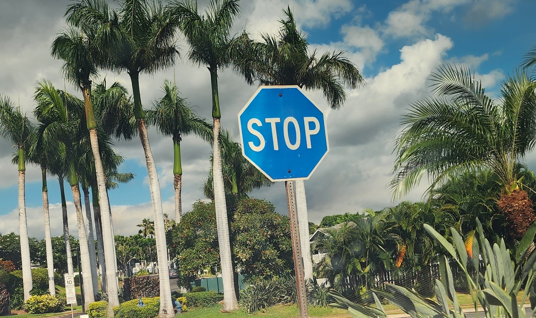 Yes, Blue Stop Signs Are Real — Here’s Where You’ll Spot Them