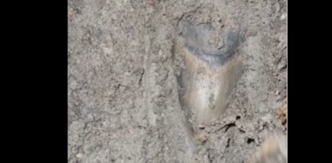 Man makes unbelievable discovery while digging in mud