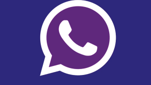 Activate "Purple Mode" in the Latest Version of WhatsApp: Here's How