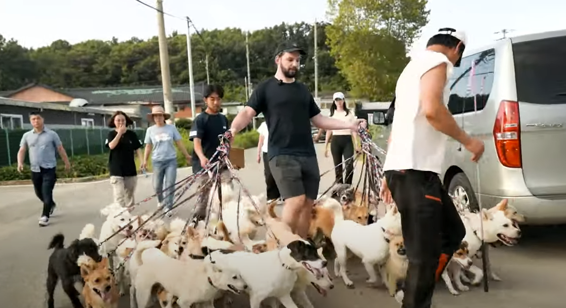 Canadian Sets World Record by Walking 38 Dogs at Once