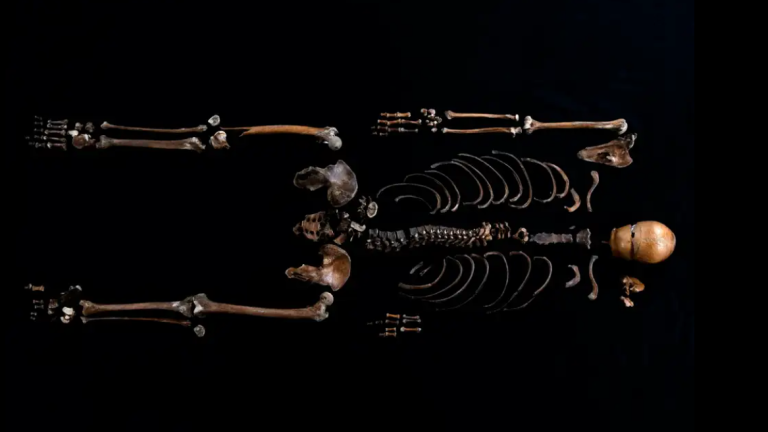 800-Year-Old Saga Verified by Science: Castle Skeleton Matches Legend’s ...