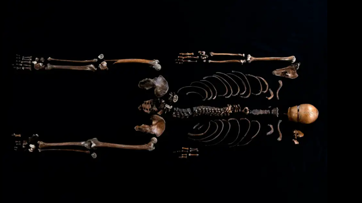 800-Year-Old Saga Verified by Science: Castle Skeleton Matches Legend’s ...